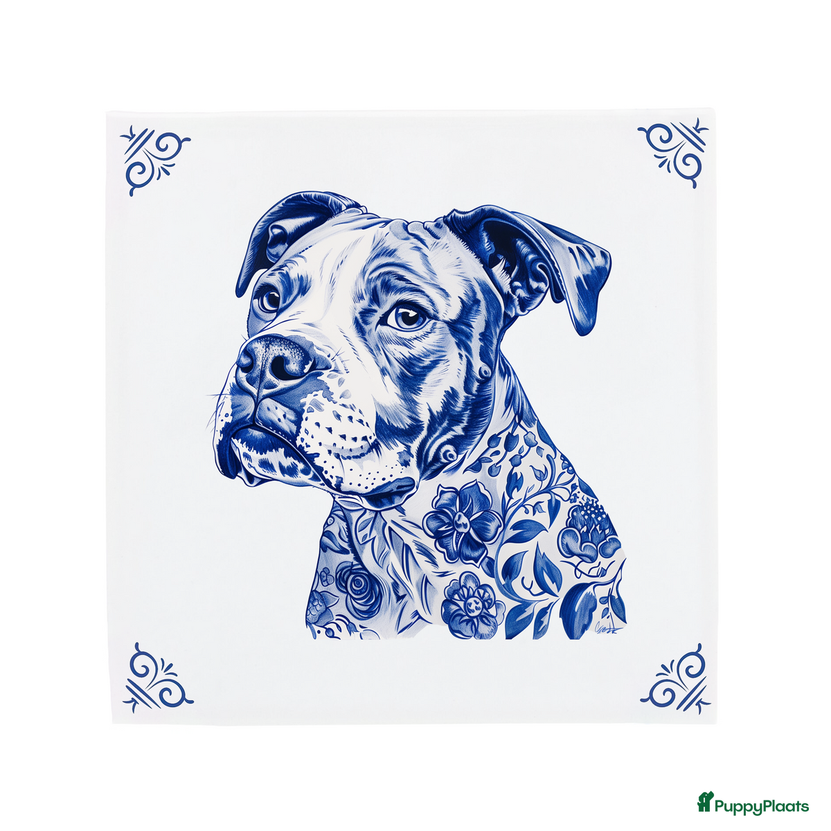 Engelse Stafford Honden Ras: Karakter, Levensduur & Prijs | Puppyplaats